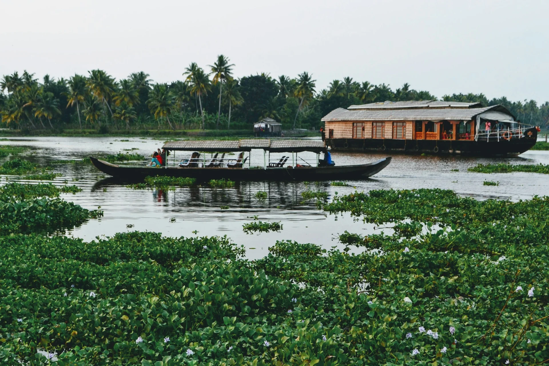 Kerala Travel Guide 2026 | Backwaters | fairtravels.ai