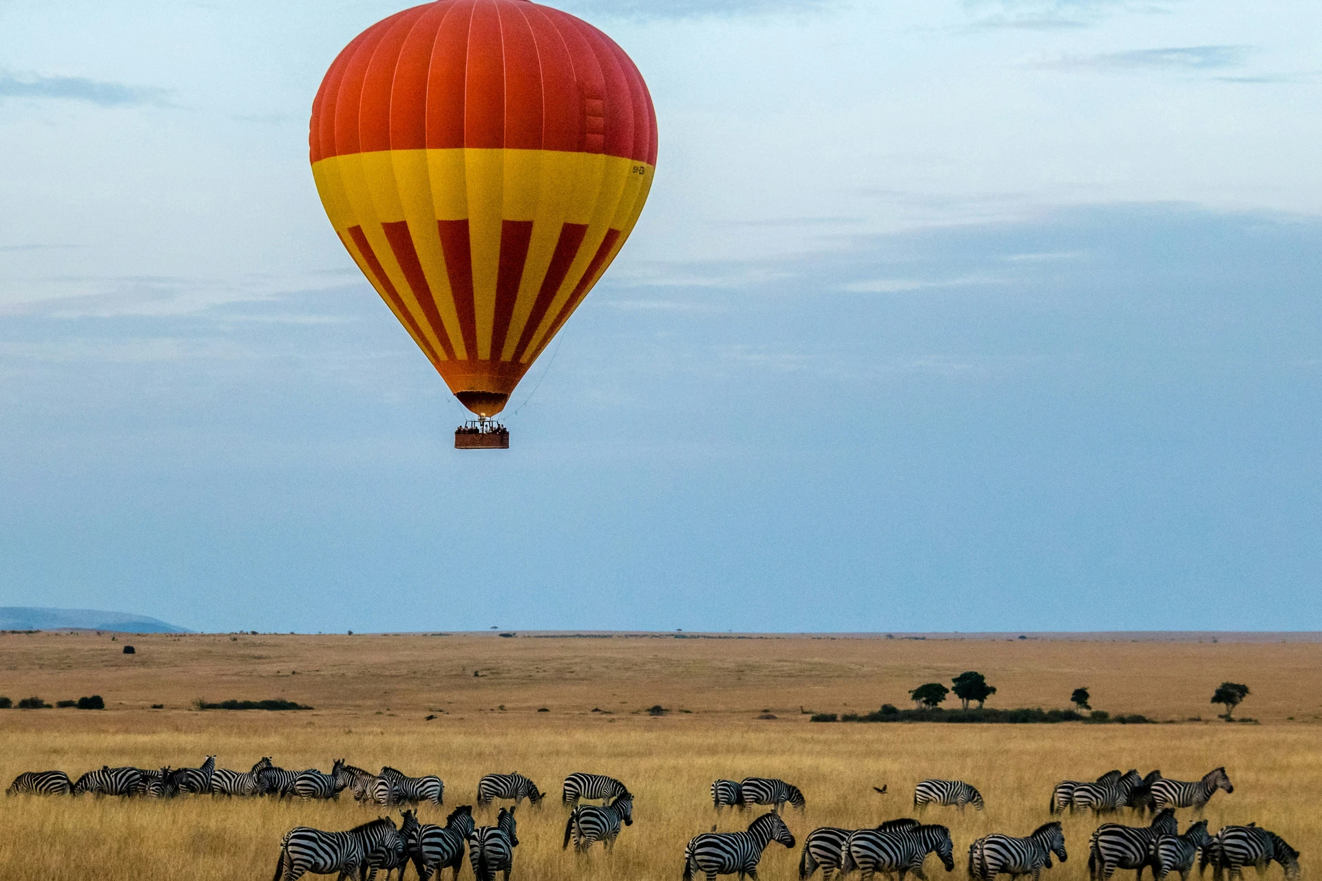 Maasai Mara Safari Guide 2026 | Costs | fairtravels.ai