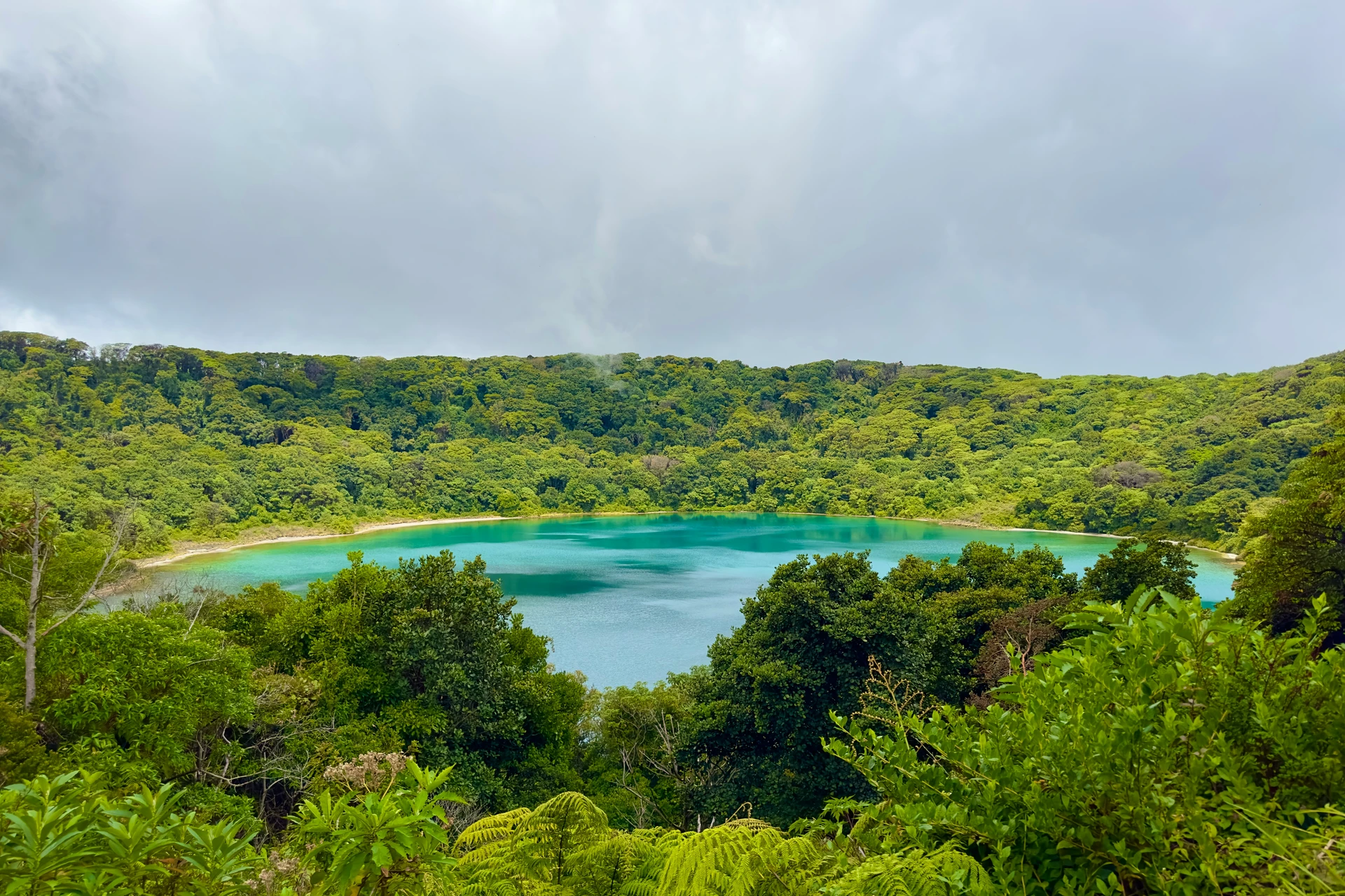 Best Time to Visit Tonga 2026 | fairtravels.ai